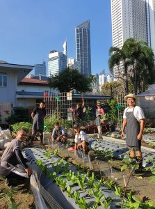 About Us – Urban Farmers PH
